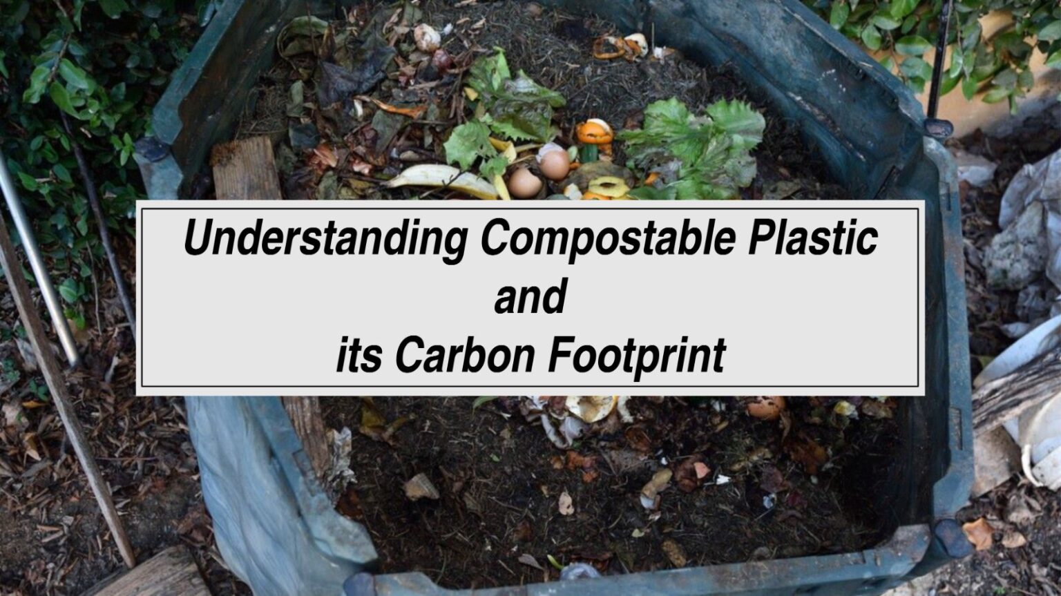 Compostable Plastic and its Carbon Footprint: What You Need to Know ...